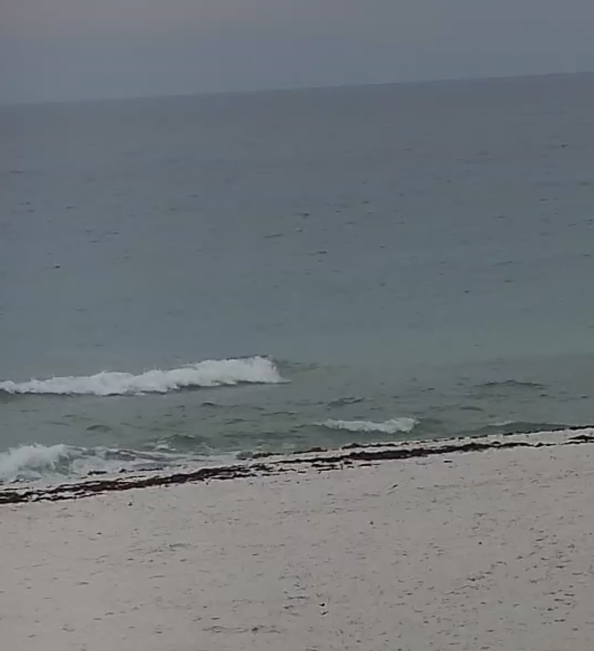 Tuesday Morning 6/9/26